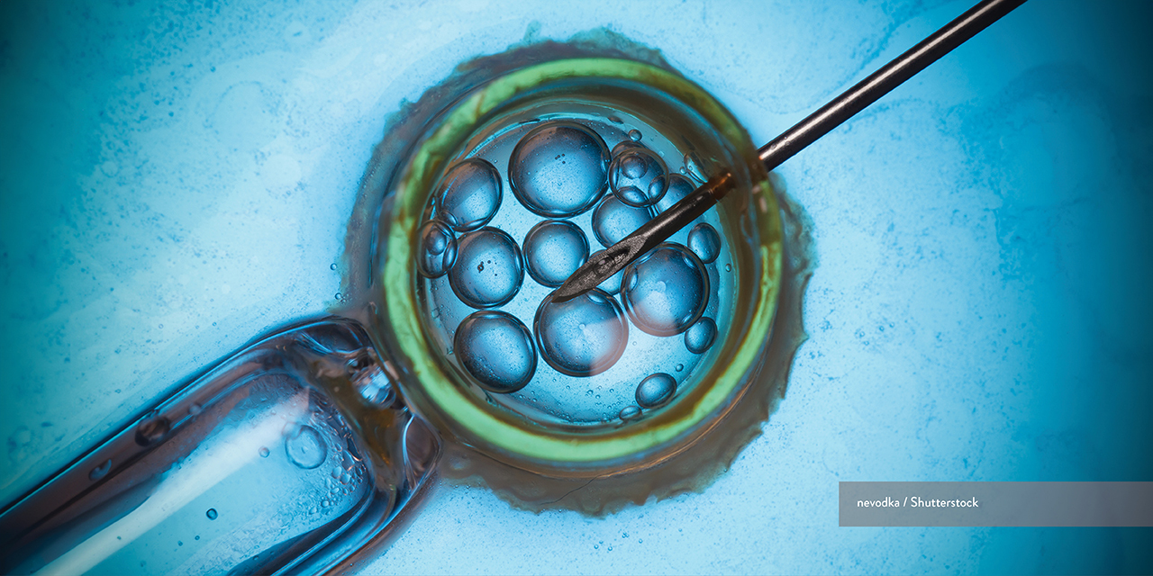 The Alabama IVF Ruling: The Dead End of Anti-Abortion Logic The Alabama IVF Ruling: The Dead End of Anti-Abortion Logic