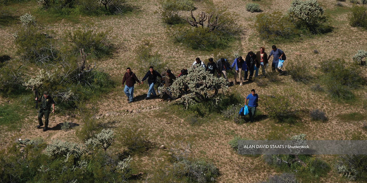 Neglected Victims, Empowered Cartels